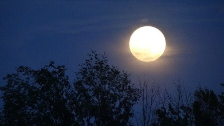Full Moon Lunar Eclipse Occurs September 16 [Video] - Guardian Liberty ...