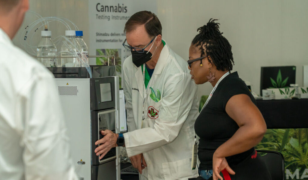 Cannabis Science Conference Spotlights Psychedelics And Medical ...