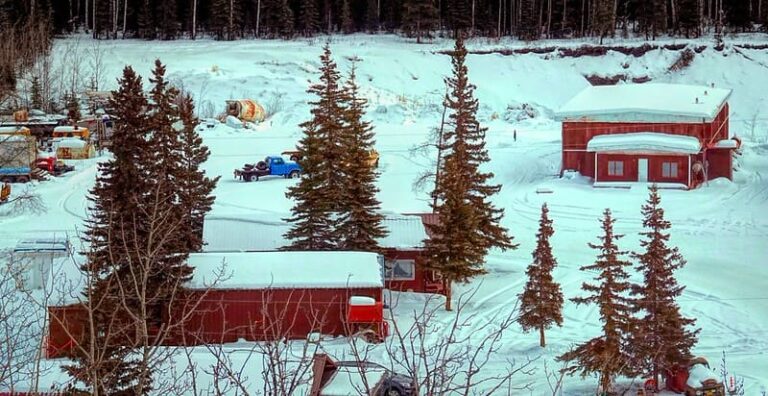 'Alaskan Bush People' Matt Brown Missing - Guardian Liberty Voice